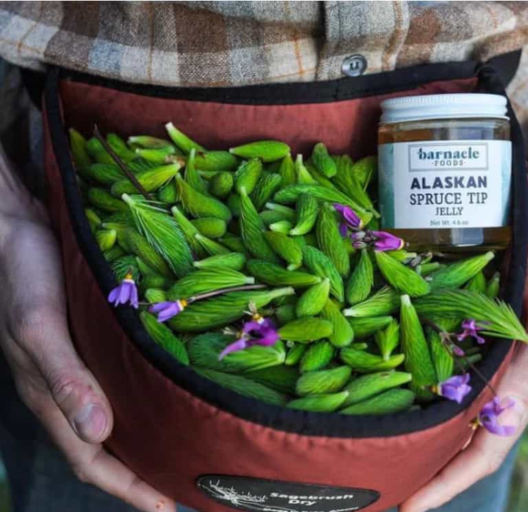 Barnacle Alaskan Spruce Tip Jelly & Rhubarb Jam - Yelm Food Coop