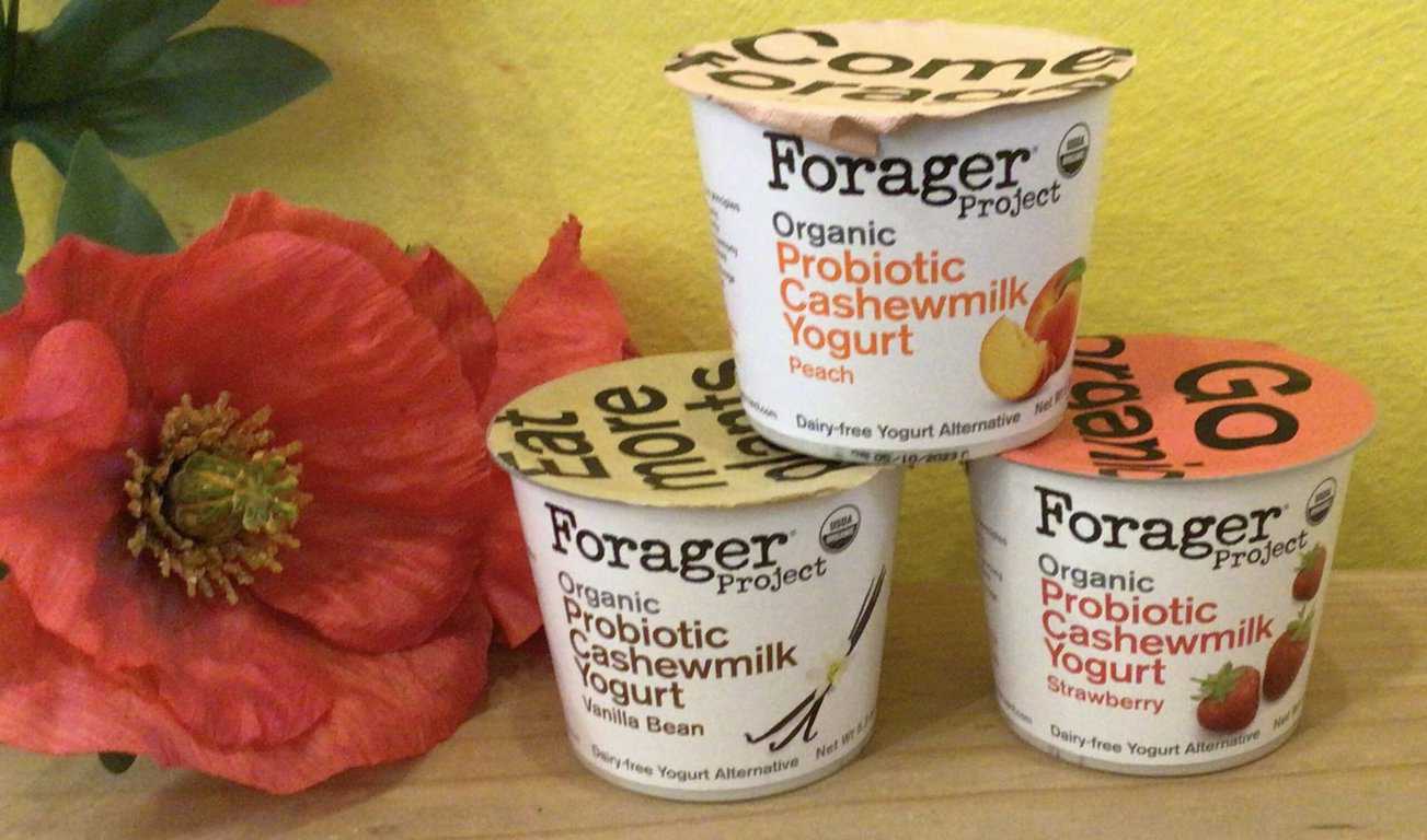Forager Organic Probiotic Peach Yogurt - Yelm Food Coop