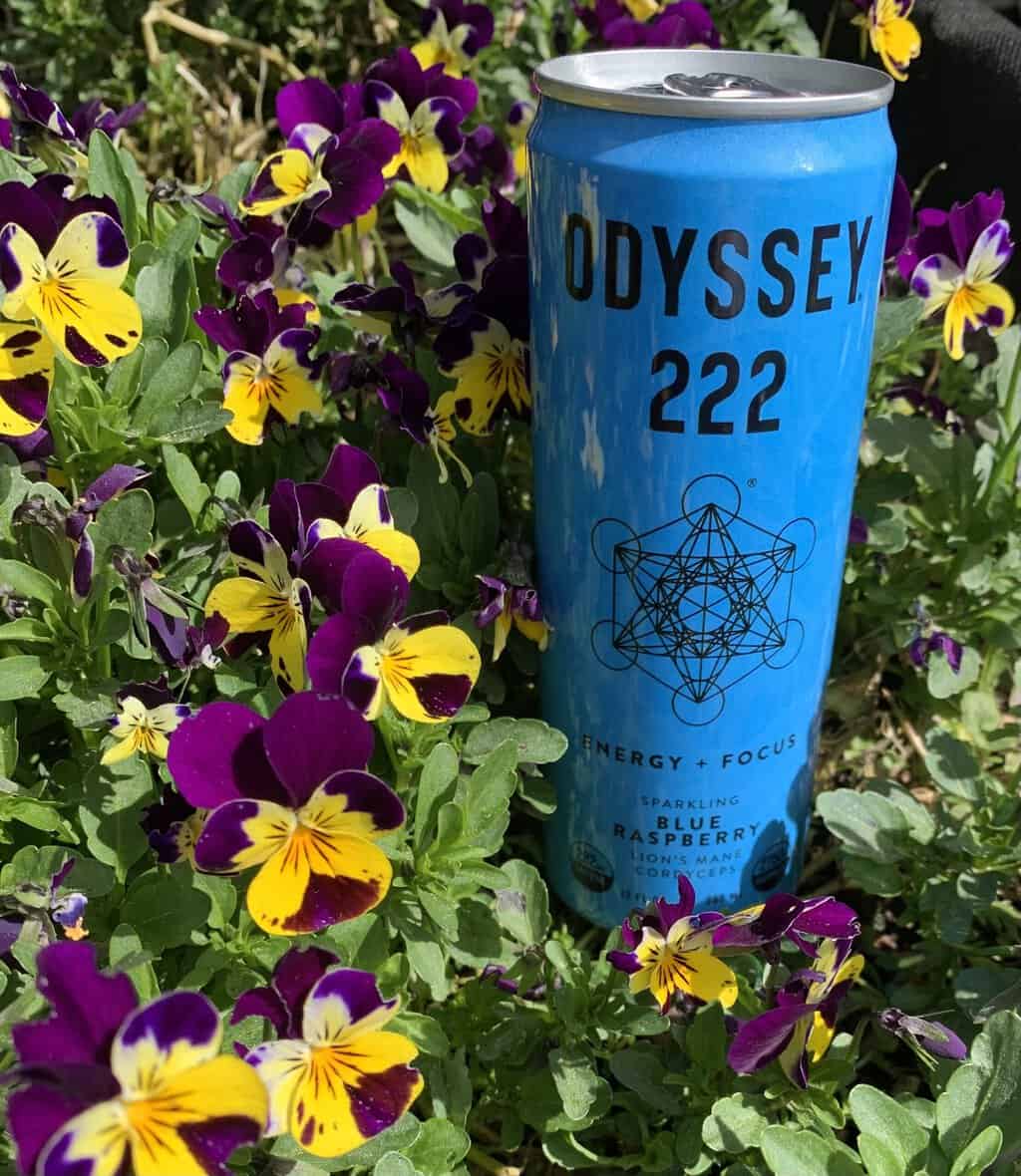 Odyssey 222 Blue Raspberry - Yelm Food Coop