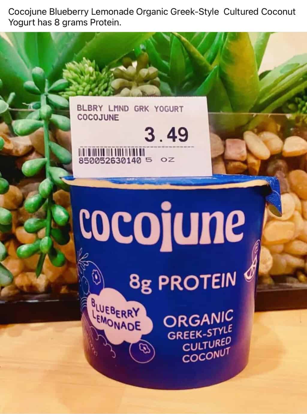 Cocojune Blueberry Lemonade Yogurt - Yelm Food Coop